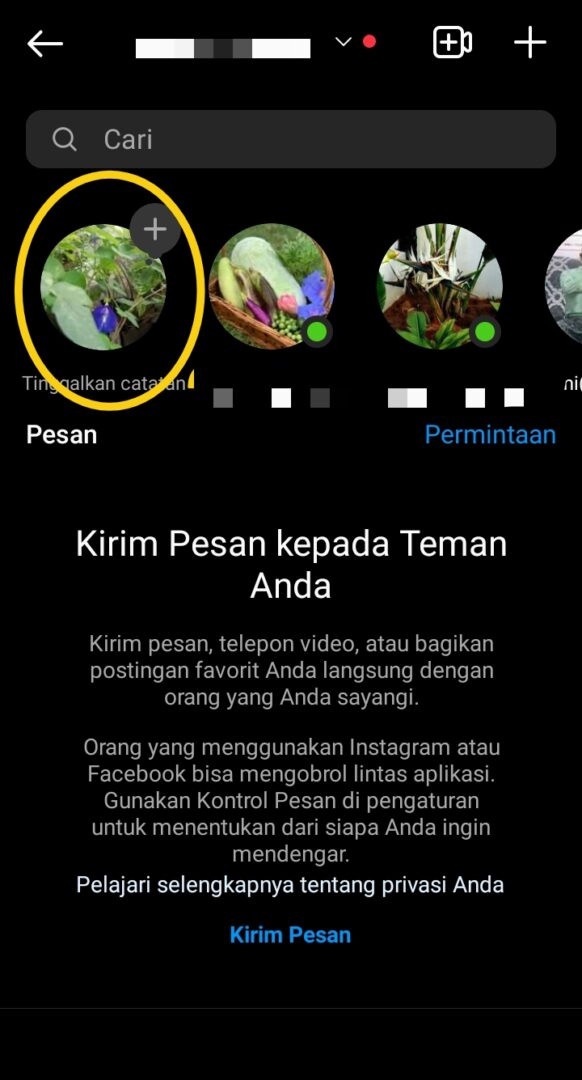 Cara Membuat Instagram Notes, Fitur Baru Buat Update Catatan Pendek via DM