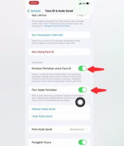 6 Cara Mengatasi Layar Mati Saat Video Call Whatsapp iPhone 2023