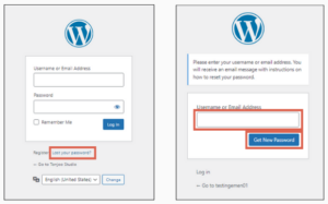 3 Cara Login WordPress sebagai Admin di cPanel hingga Localhost - Tonjoo